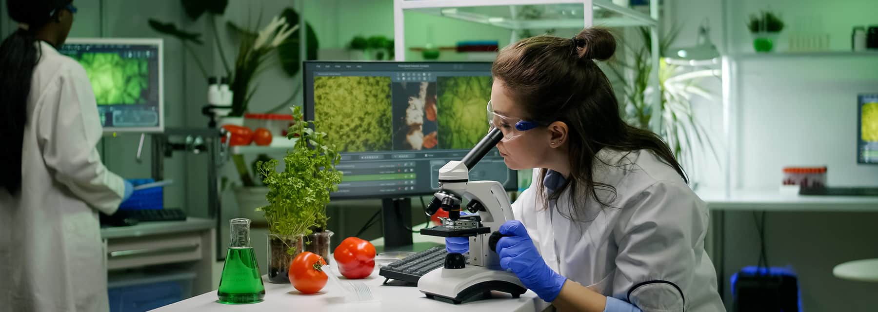Molecular Biology Syllabus: The Subjects - Cemp